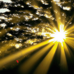 Light Energy Examples | Jacks Of Science